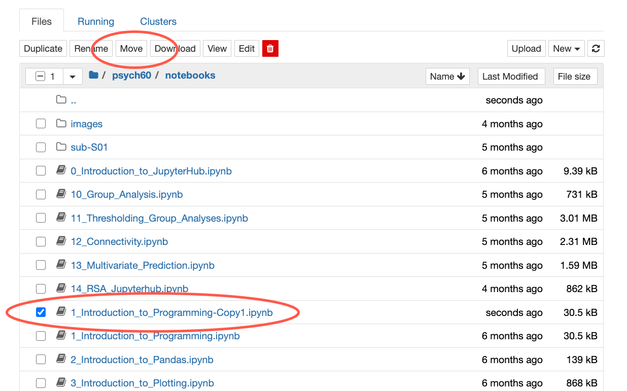 Introduction to JupyterHub — DartBrains